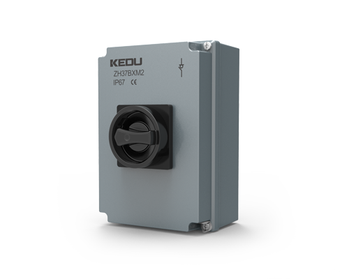 KEDU -Power Tool Switch