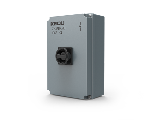 KEDU -Power Tool Switch