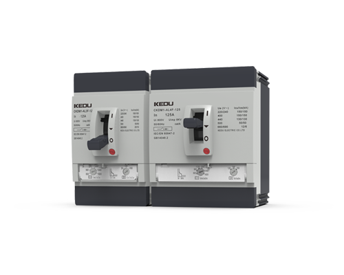 KEDU -Power Tool Switch